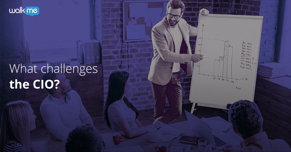 The CIO's Guide to Ensuring Successful Software Adoption