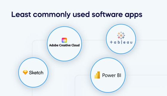 The High Cost of Unused Software Licences