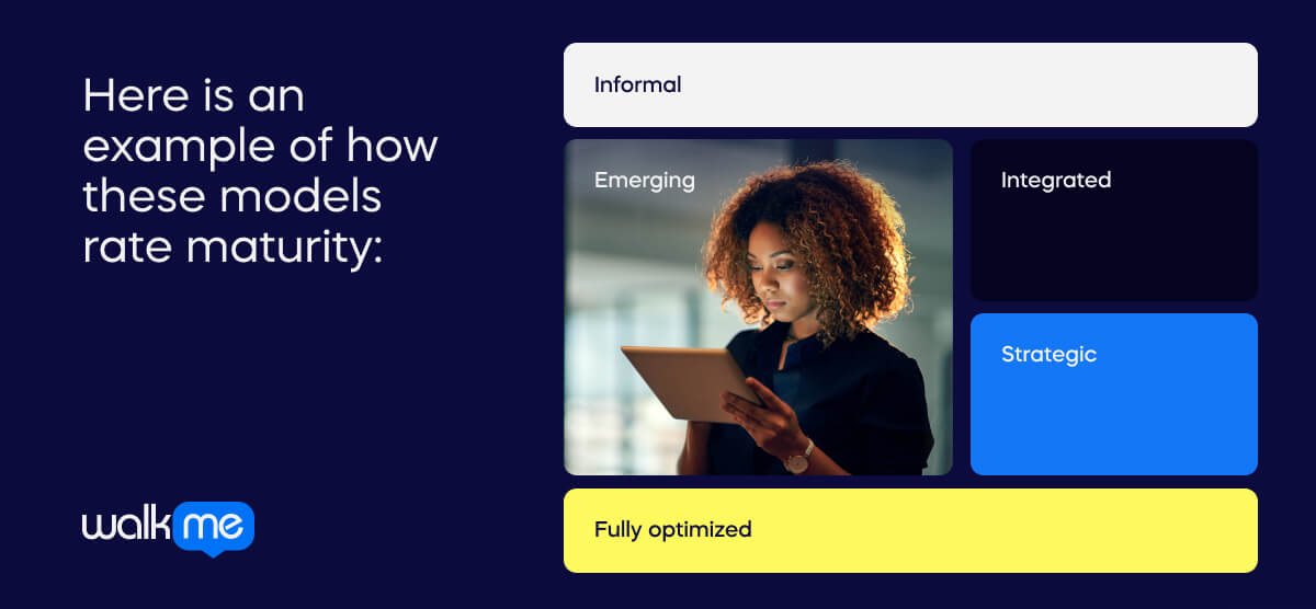 What Is an Organizational Maturity Model? (3 Examples)