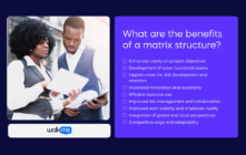 Matrix Organizational Structure: Definition, Best Practices & Examples