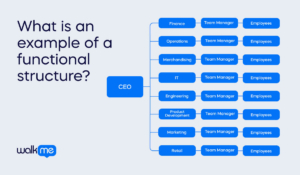 Functional Organizational Structure: Definition, Best Practices & Examples