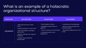 Holacratic Organizational Structure: Definition, Best Practices & examples
