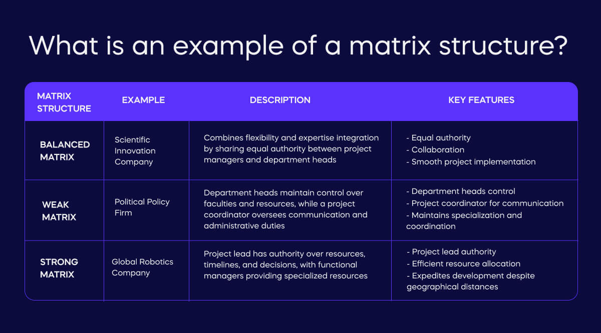 Matrix Organizational Structure: Definition, Best Practices & Examples