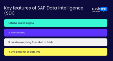 7 Best SAP Data Extraction Tools in 2025